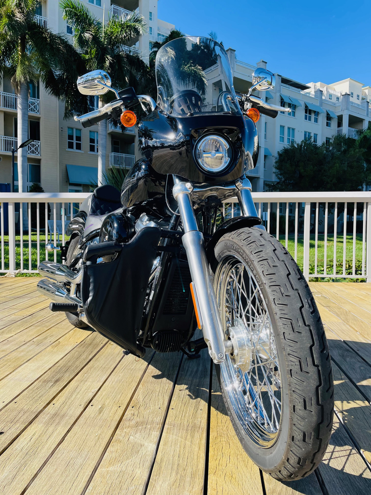 2021 Harley-Davidson® FXST Softail® Standard for Sale in Boynton Beach ...