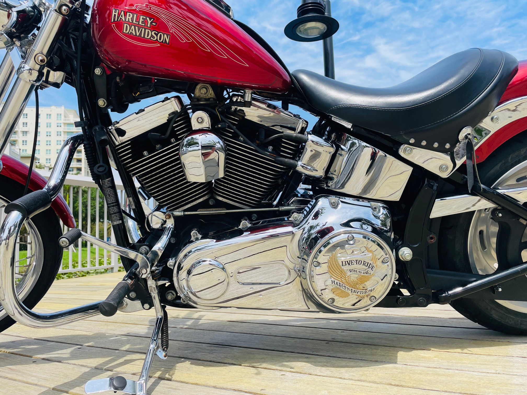 2008 Harley-Davidson® FXSTC Softail® Custom for Sale in Boynton Beach ...