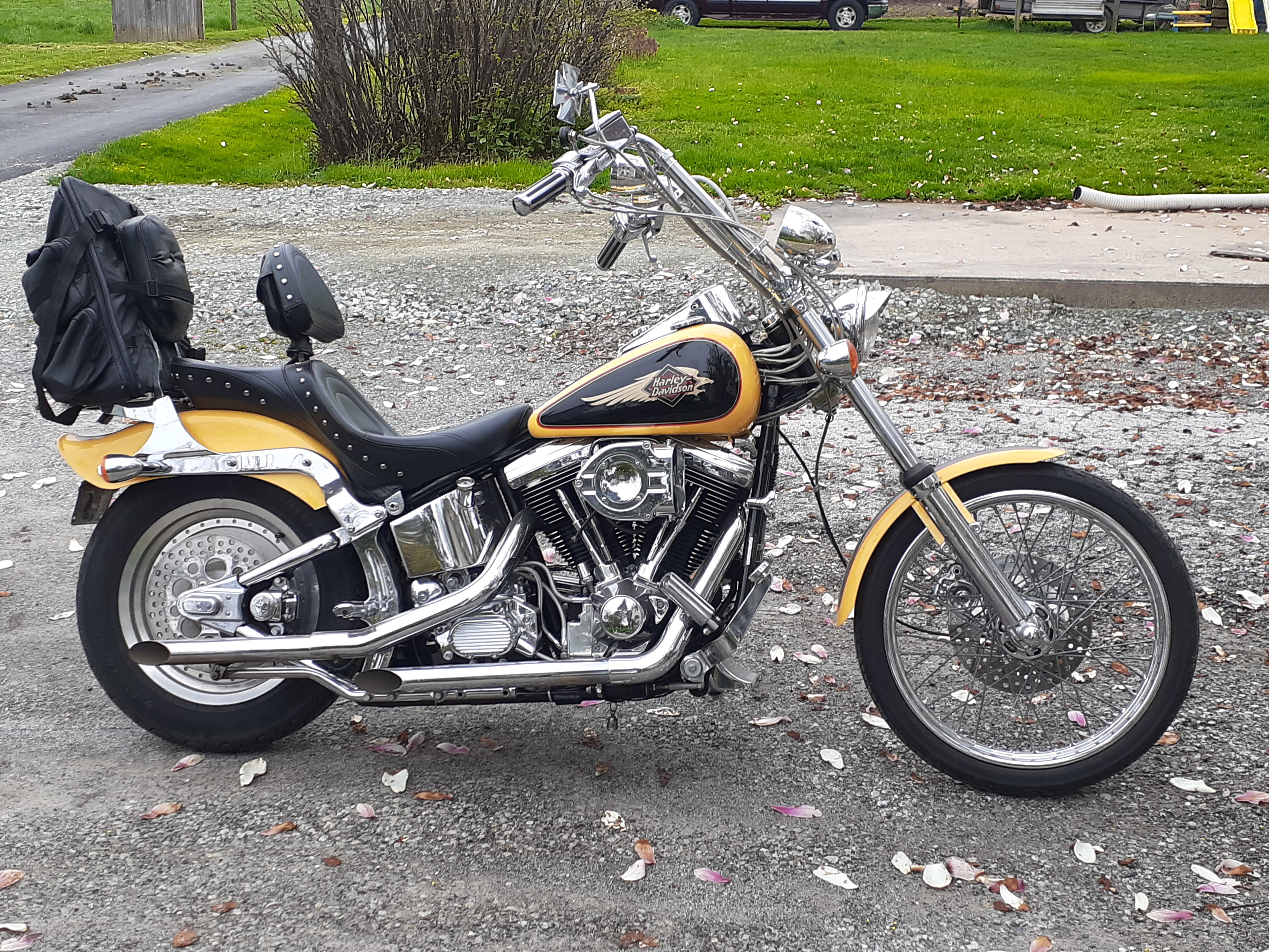 1995 Harley-Davidson® FXSTC Softail® Custom for Sale in oxford, PA ...