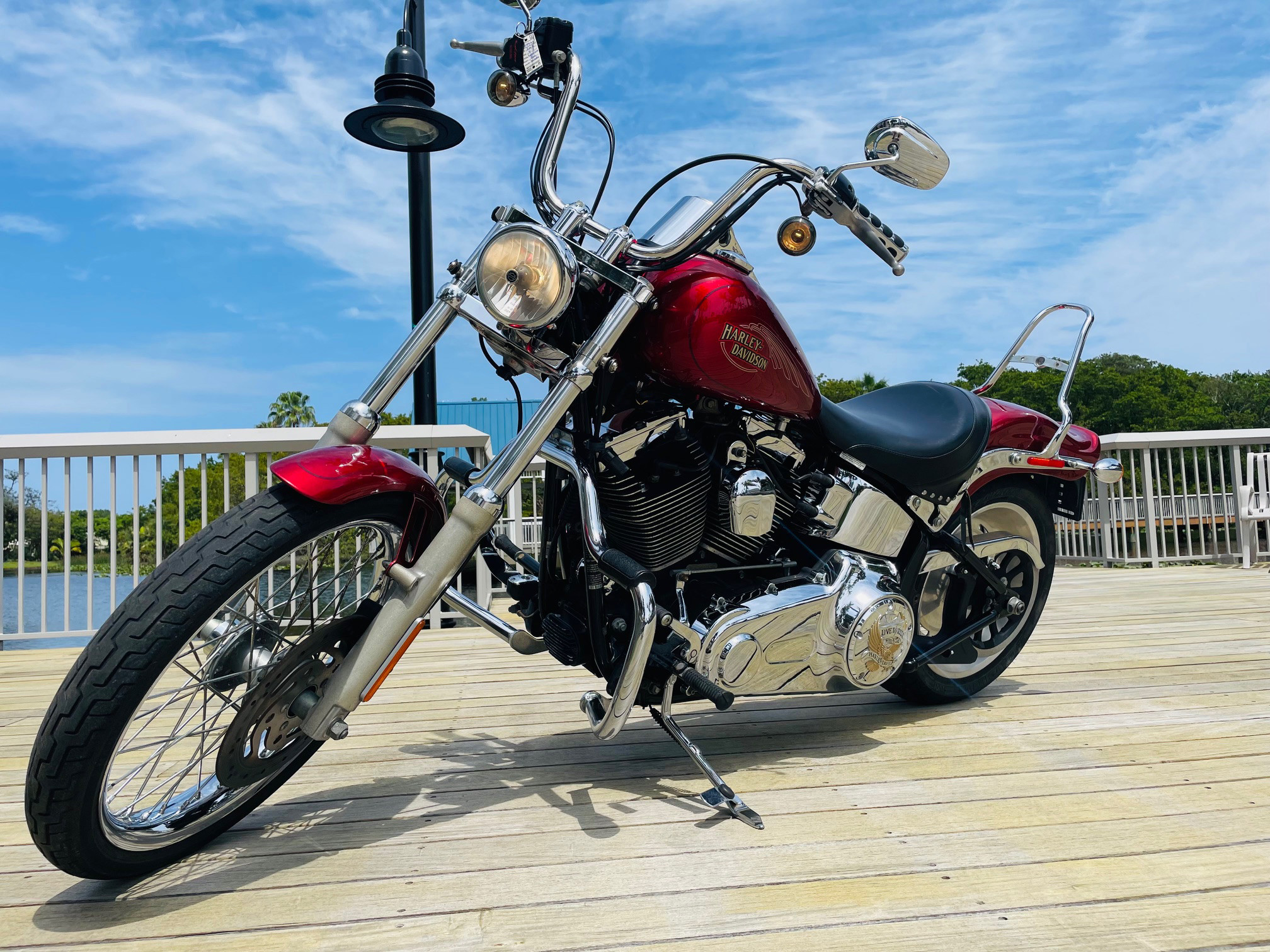 2008 Harley-Davidson® FXSTC Softail® Custom for Sale in Boynton Beach ...