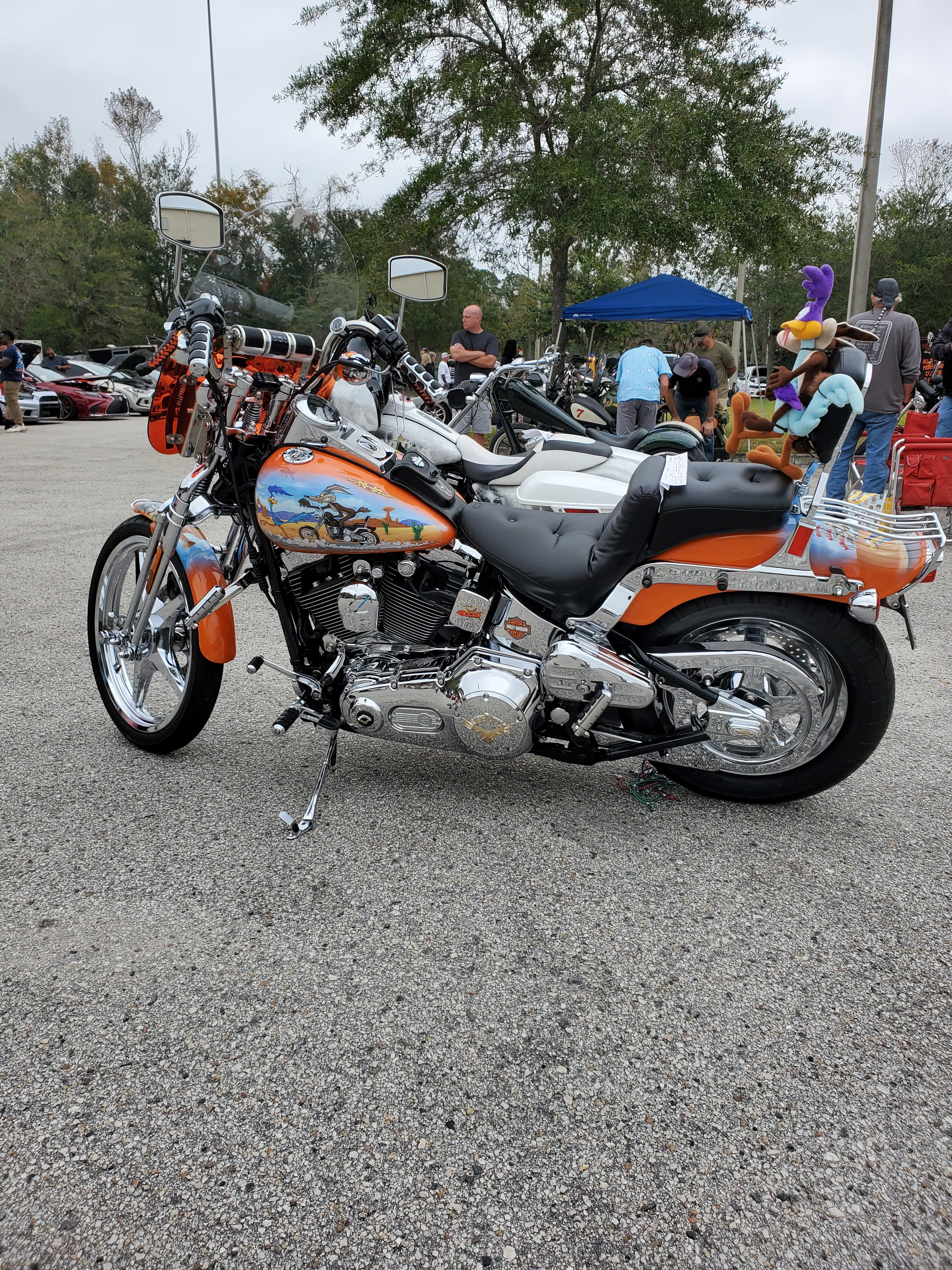 2001 Harley-Davidson® FXSTS/I Springer® Softail® for Sale in ...