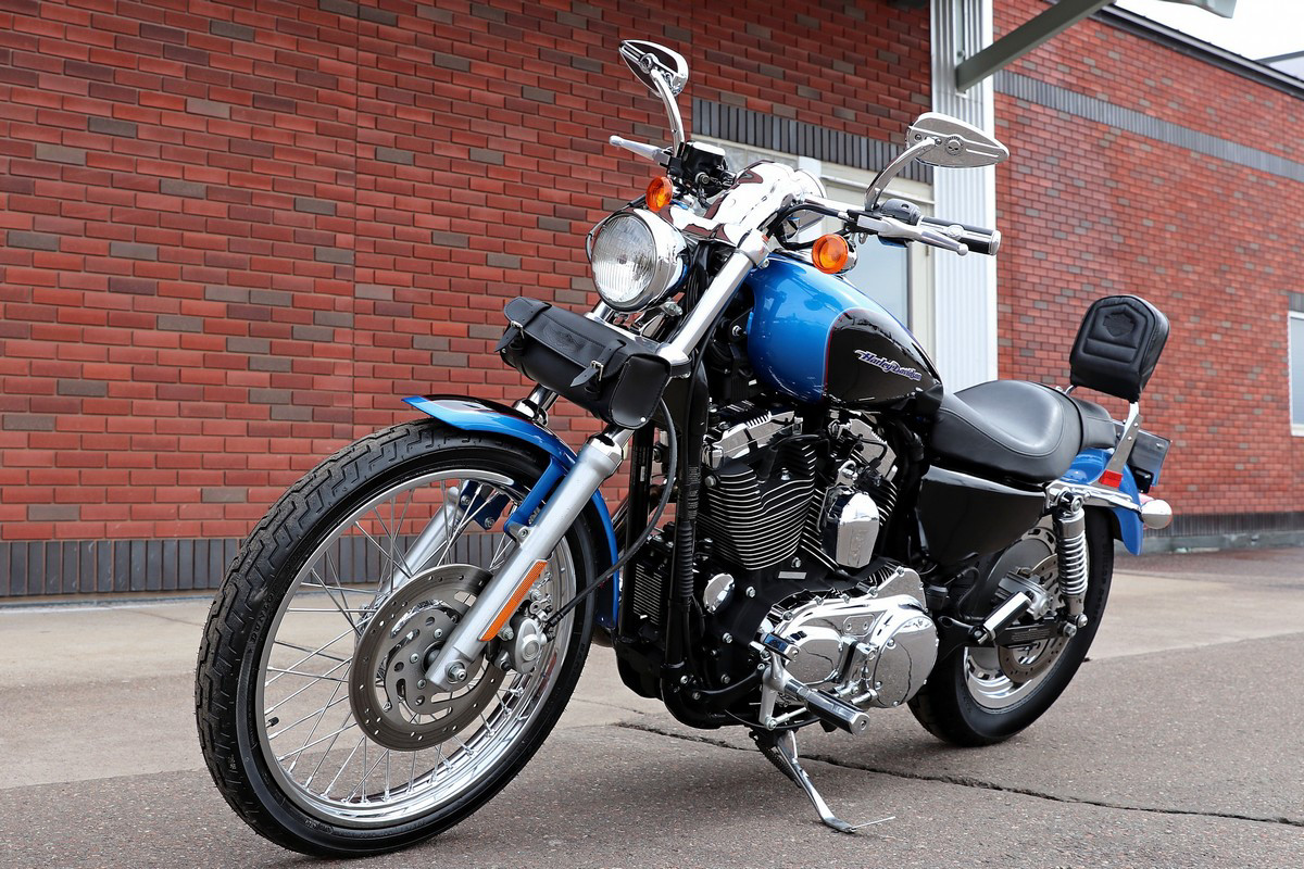 2004 Harley-Davidson® XL1200C Sportster® 1200 Custom for Sale in Duluth ...