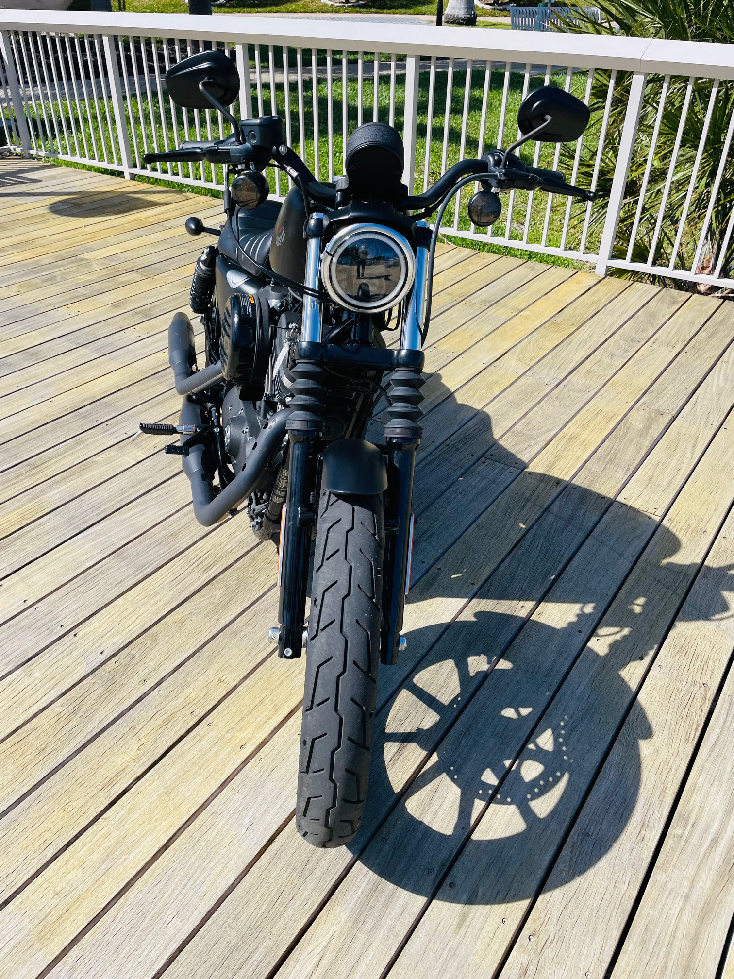 2020 Harley-Davidson® XL883N Iron 883® for Sale in Boynton Beach, FL ...