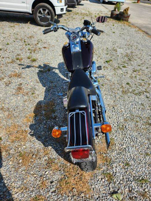 1987 Harley-Davidson® FXSTC Softail® Custom for Sale in Hanover, PA ...