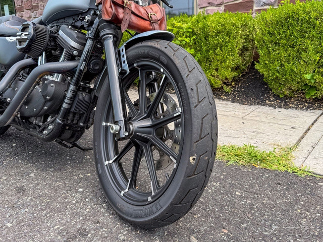 2020 Harley-Davidson® XL883N Iron 883® for Sale in Zieglerville, PA ...