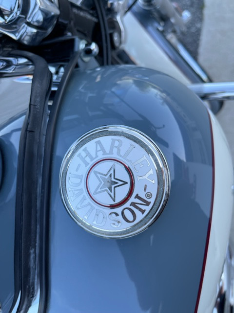 2002 Harley-Davidson® FXDL Dyna Low Rider® for Sale in Newton, WI (Item ...