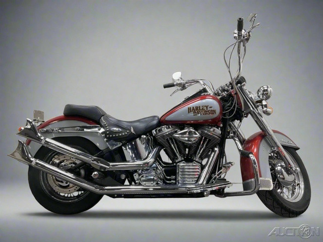 2002 Harley-Davidson® FLSTC/I Heritage Softail® Classic for Sale in ...