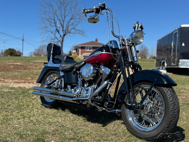 2005 Harley-Davidson® FLSTSC/I Softail® Springer® Classic for Sale in ...