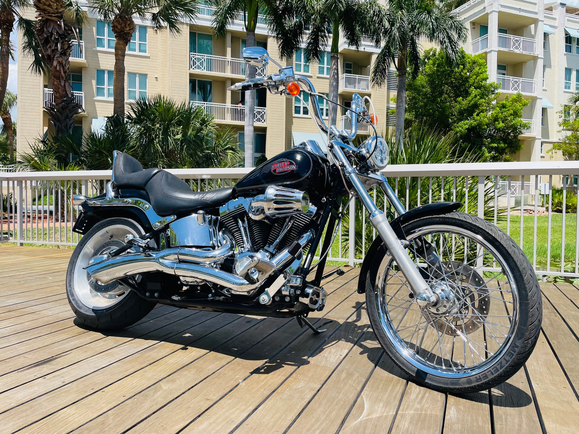2008 Harley-Davidson® FXSTC Softail® Custom for Sale in Boynton Beach ...
