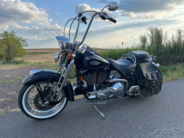 1998 Harley-Davidson® FXSTS Springer® Softail® for Sale in Zieglerville ...