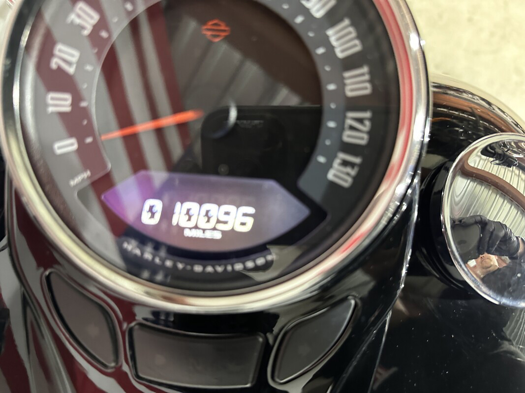 2019 Harley-Davidson® FLSL Softail® Slim® for Sale in Bellmore, NY ...