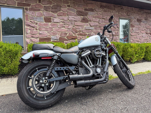 2020 Harley-Davidson® XL883N Iron 883® for Sale in Zieglerville, PA ...