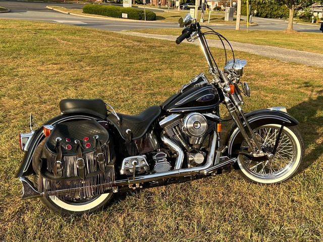 1998 Harley-Davidson® FXSTS Springer® Softail® for Sale in Zieglerville ...