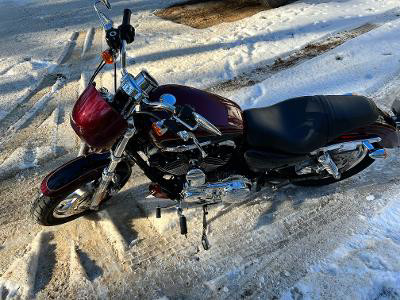 2015 Harley-Davidson® XL1200C Sportster® 1200 Custom for Sale in ...