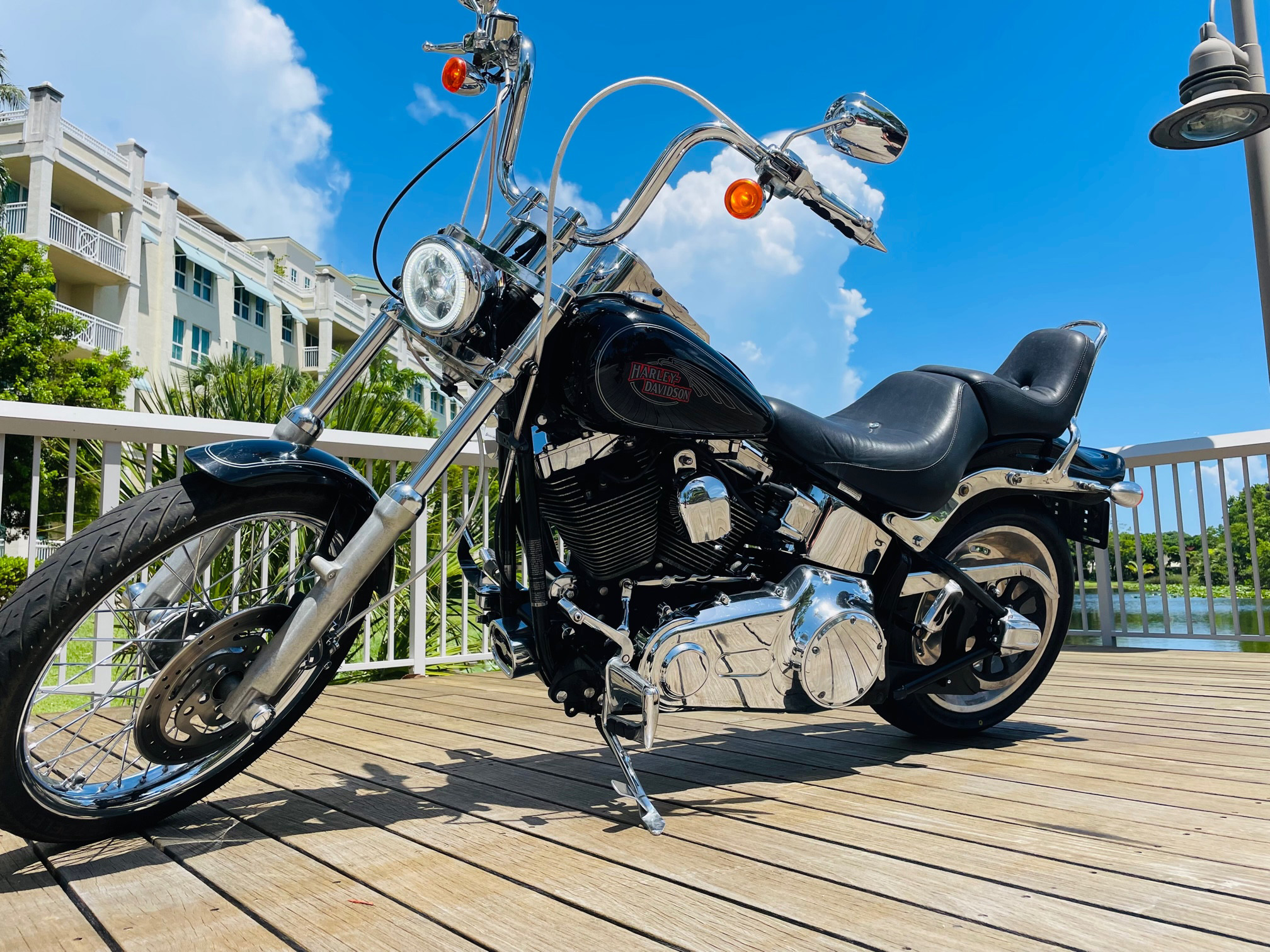 2008 Harley-Davidson® FXSTC Softail® Custom for Sale in Boynton Beach ...