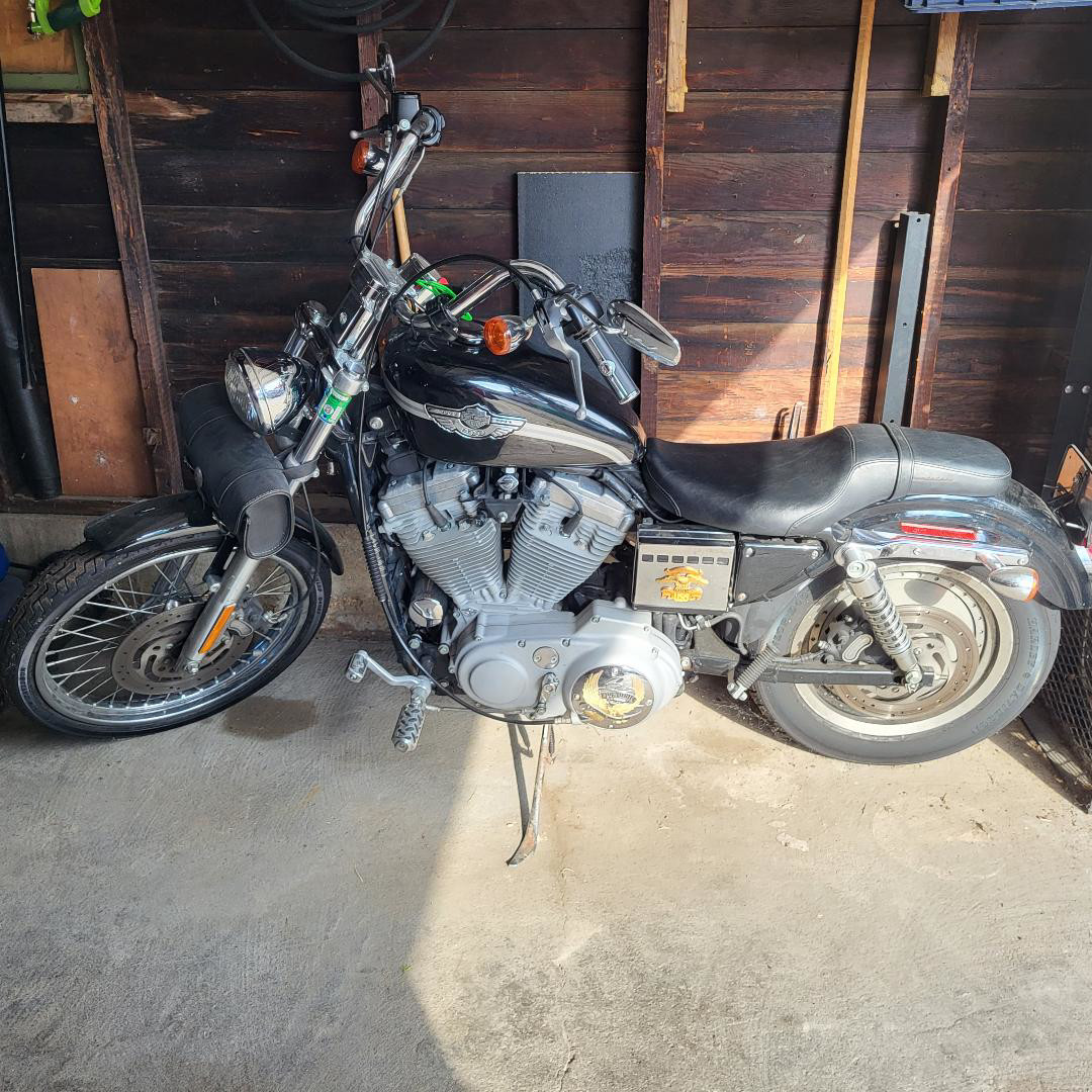 2003 Harley-Davidson® XL 883C-ANV Sportster® 883 Custom Anniversary for ...