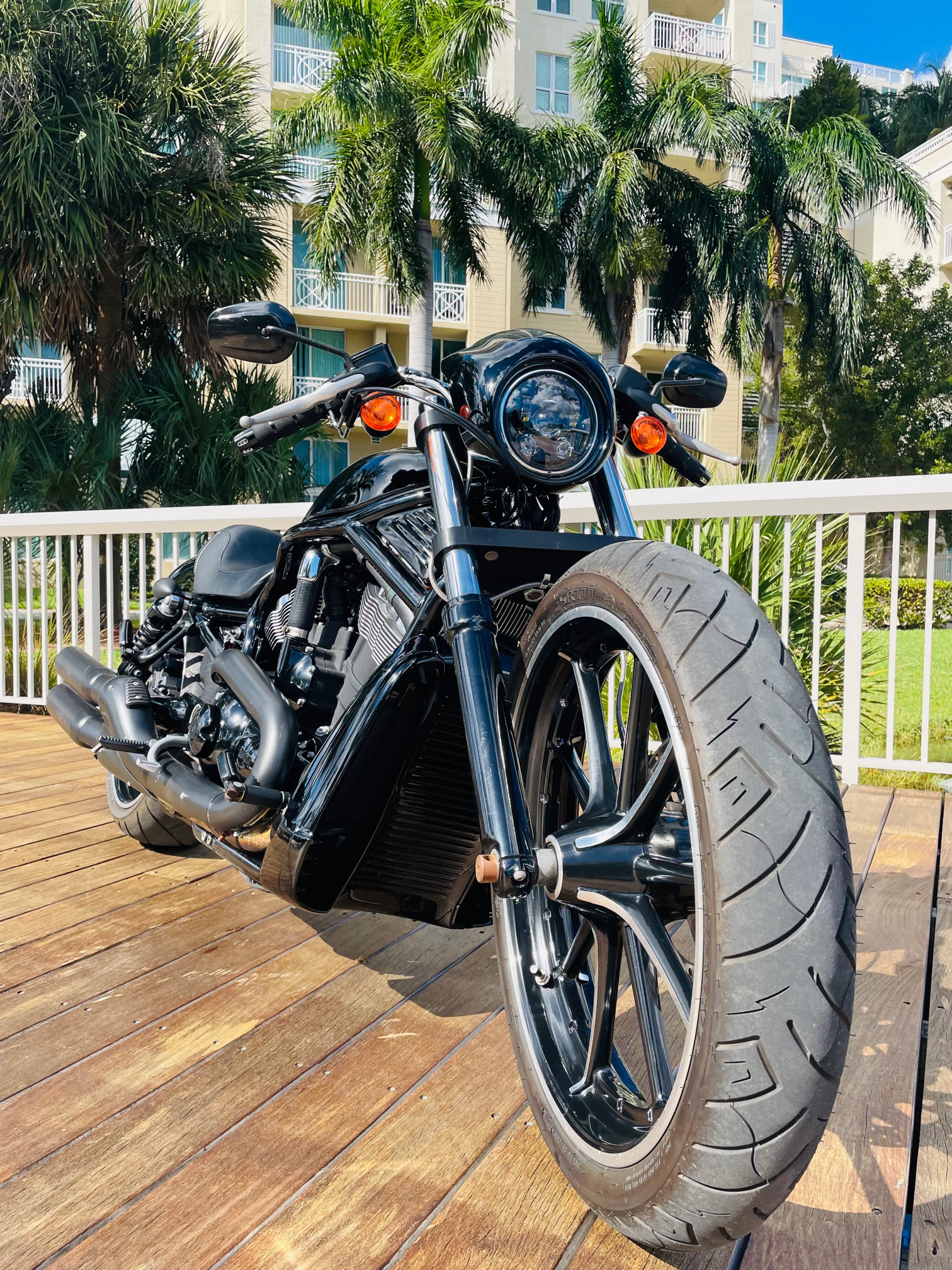 2006 Harley-Davidson® VRSCD V-Rod® Night Rod® for Sale in Boynton Beach ...
