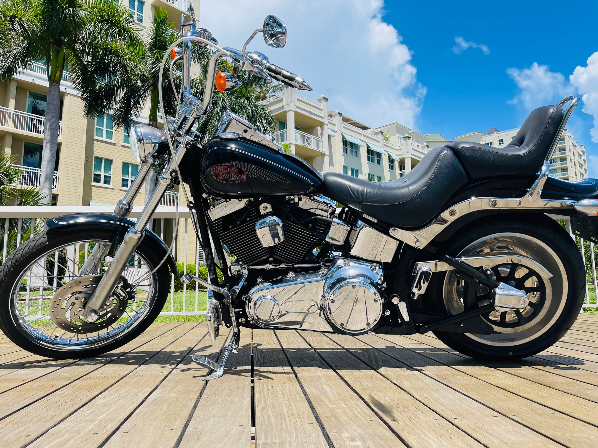 2008 Harley-Davidson® FXSTC Softail® Custom for Sale in Boynton Beach ...