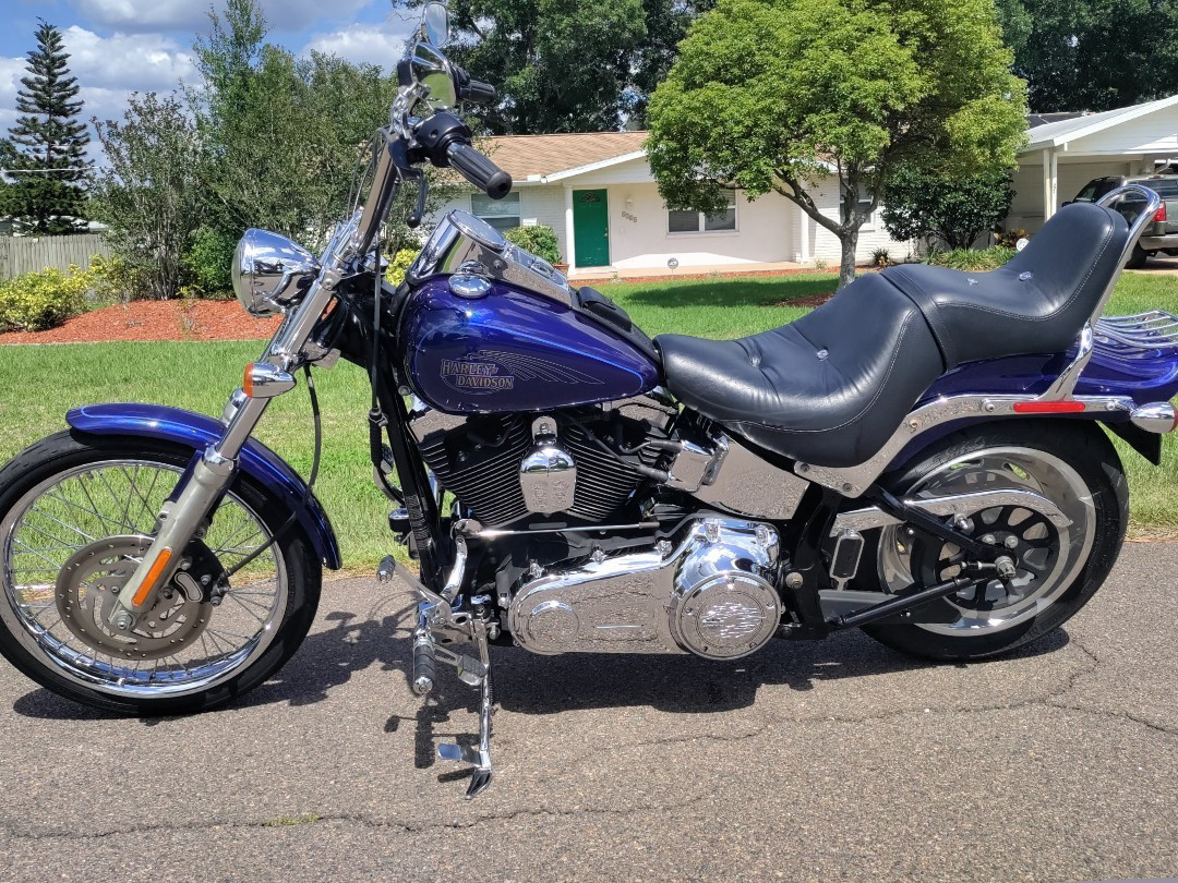 2007 Harley-Davidson® FXSTC Softail® Custom for Sale in Riverview, , FL ...