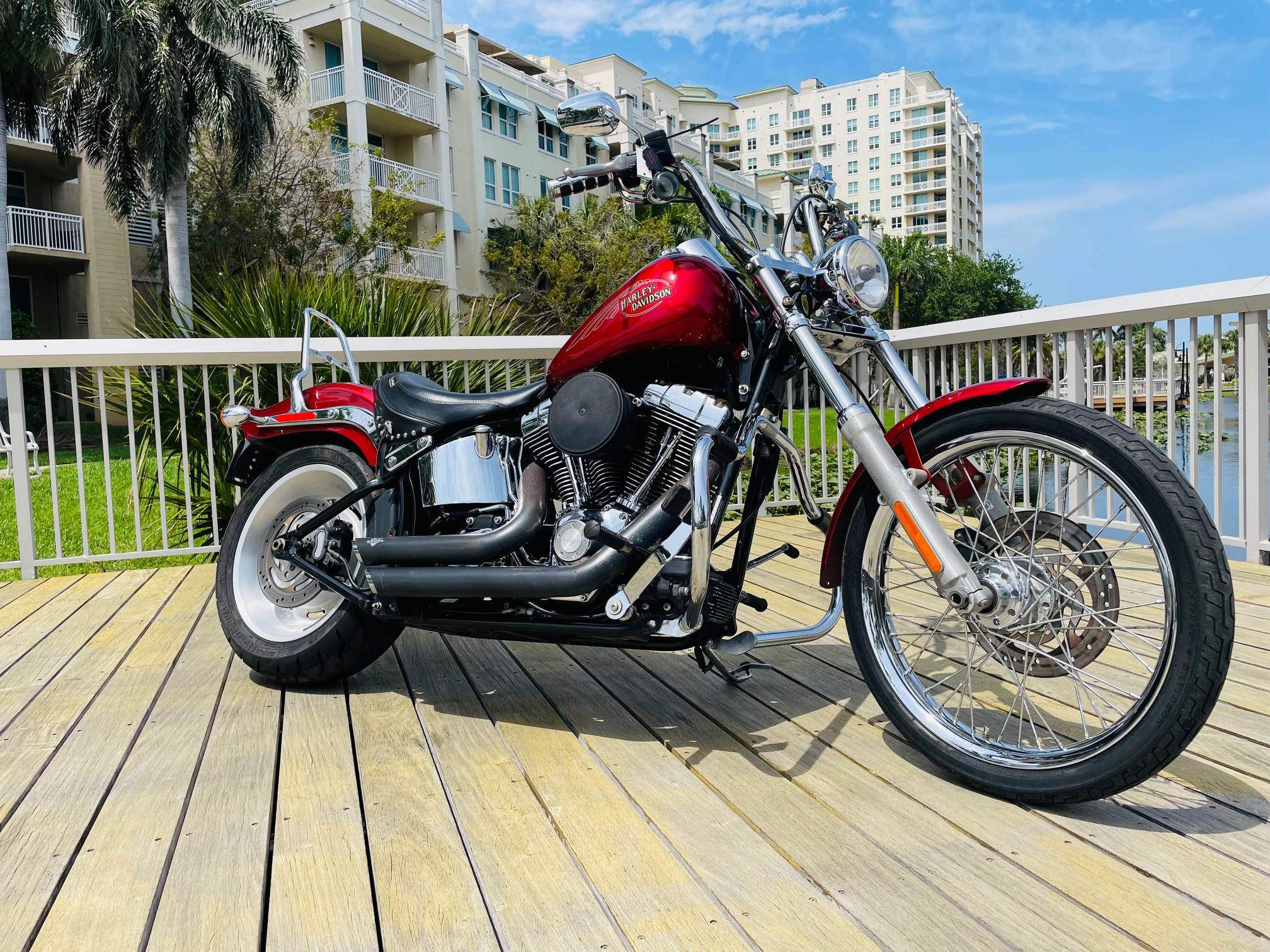 2008 Harley-Davidson® FXSTC Softail® Custom for Sale in Boynton Beach ...