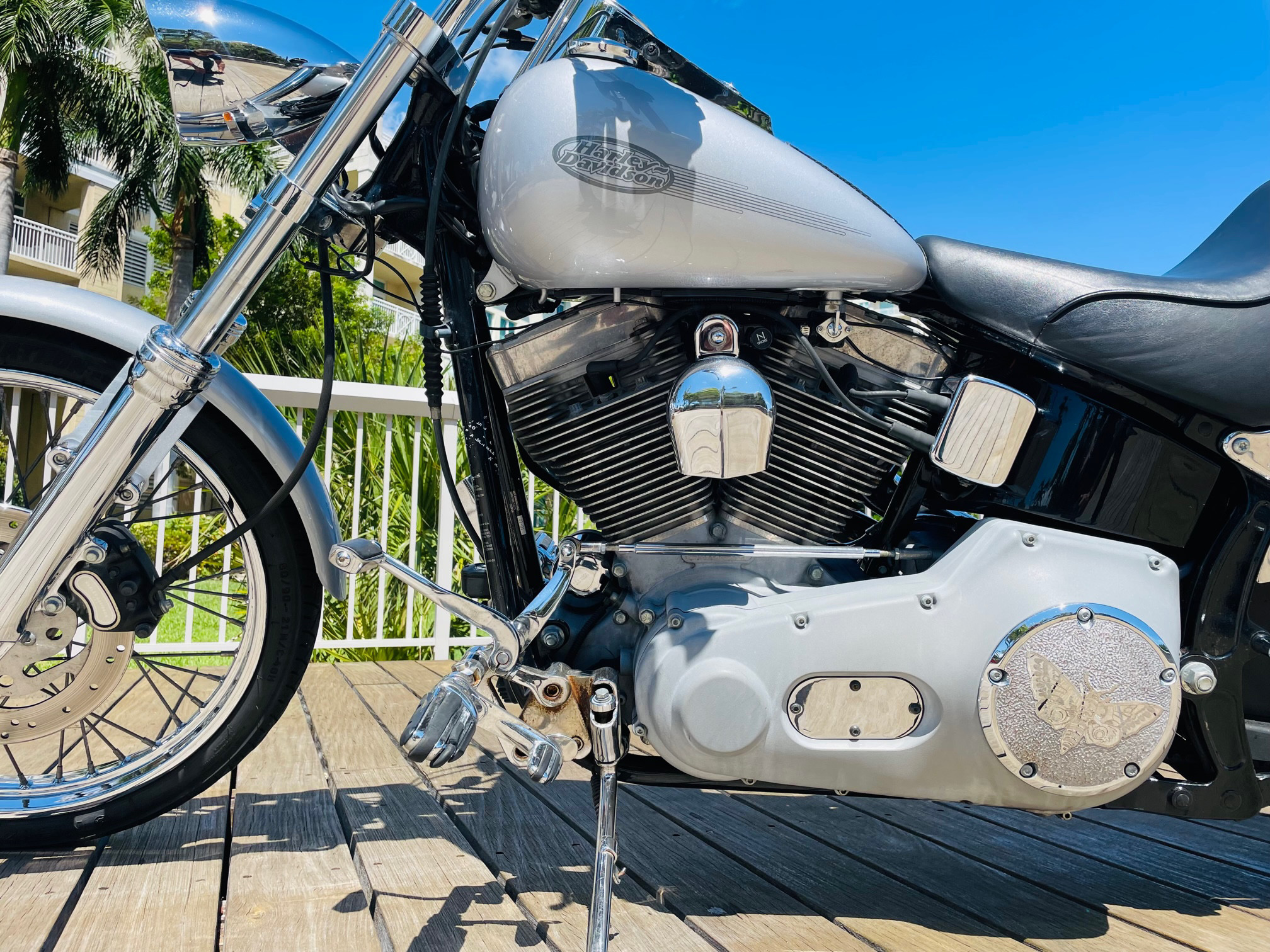 2001 Harley-Davidson® FXSTC Softail® Custom for Sale in Boynton Beach ...