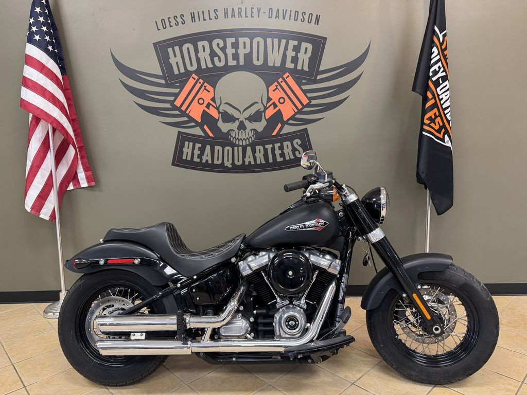 2018 Harley Davidson Flsl Softtail Slim