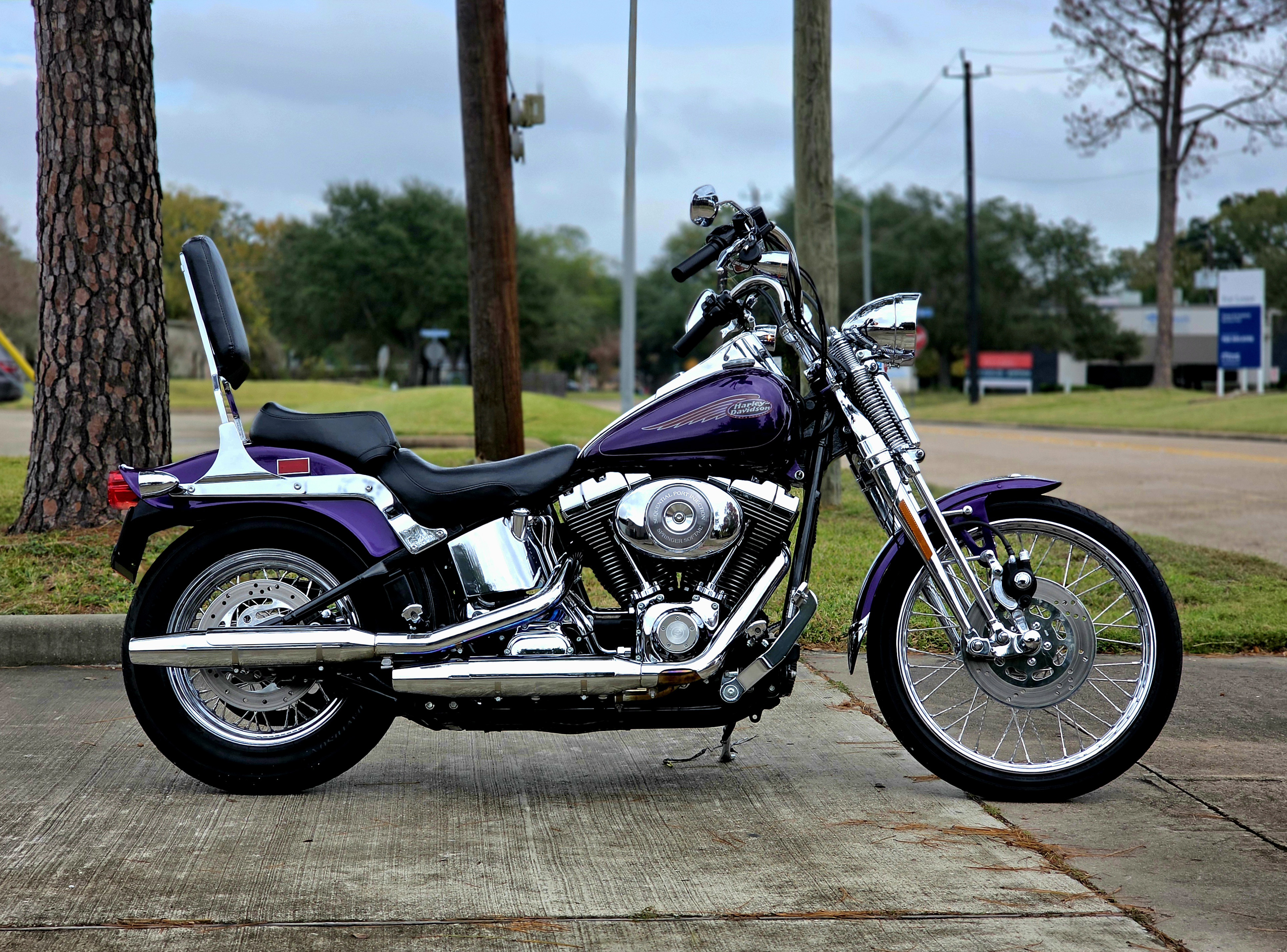 2002 Harley-Davidson® FXSTS/I Springer® Softail® for Sale in Houston ...