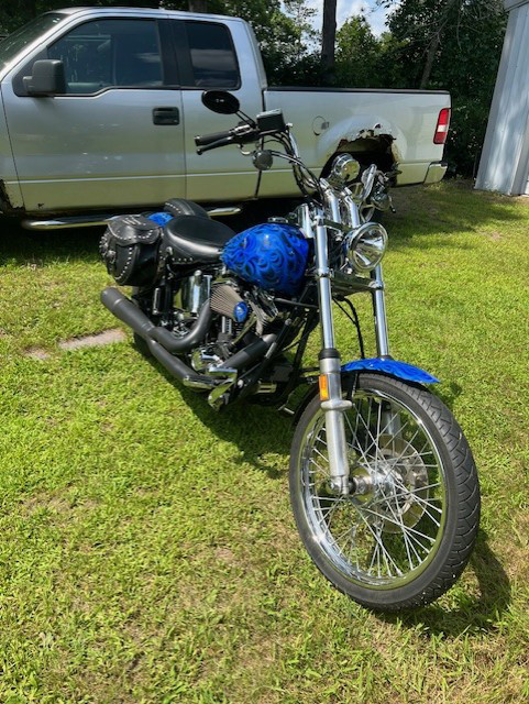 1990 Harley-Davidson® FXSTC Softail® Custom for Sale in St.Cloud, MN ...
