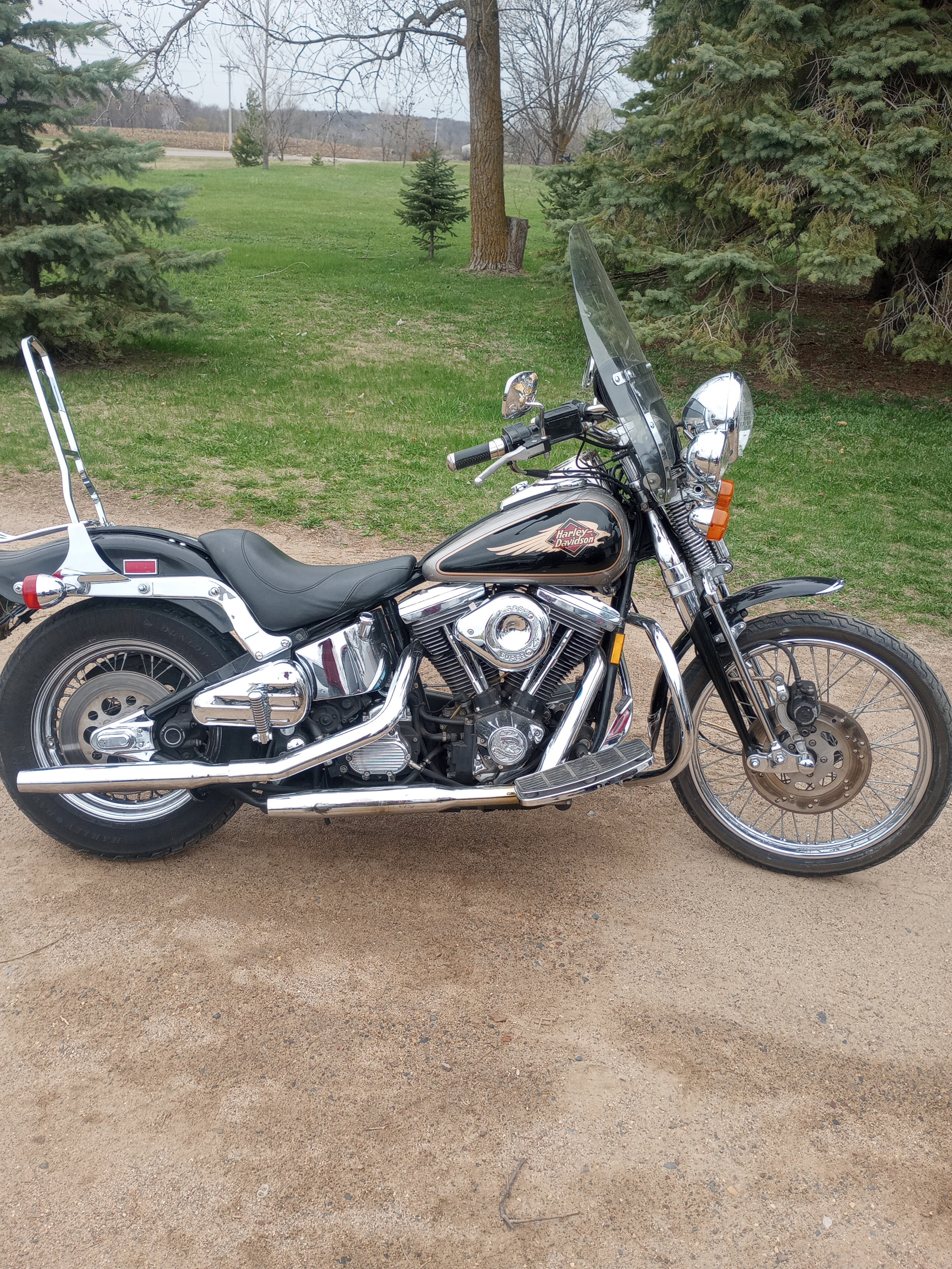 1990 Harley-Davidson® FXSTS Springer® Softail for Sale in South Haven ...