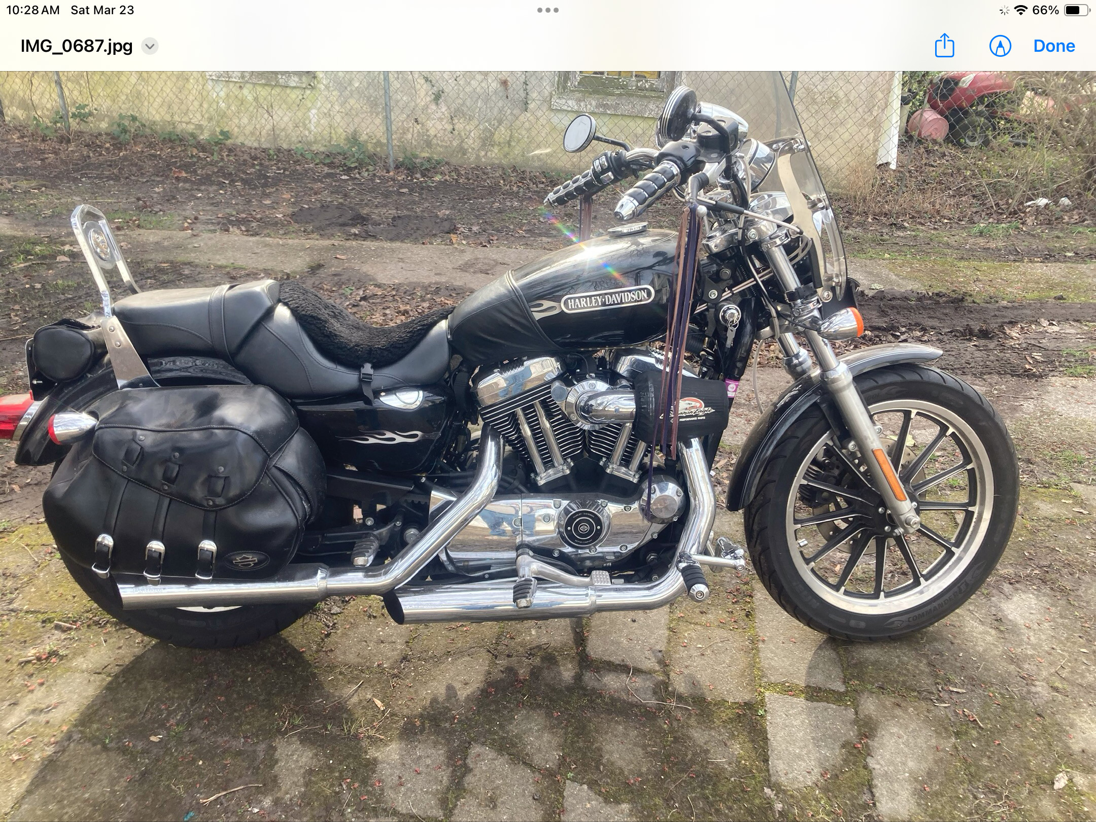 2007 Harley-Davidson® XL1200L Sportster® 1200 Low for Sale in Hampton ...
