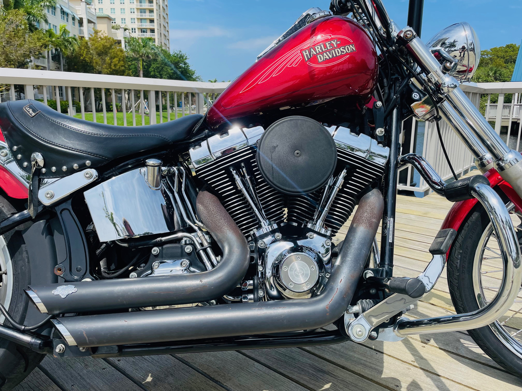 2008 Harley-Davidson® FXSTC Softail® Custom for Sale in Boynton Beach ...