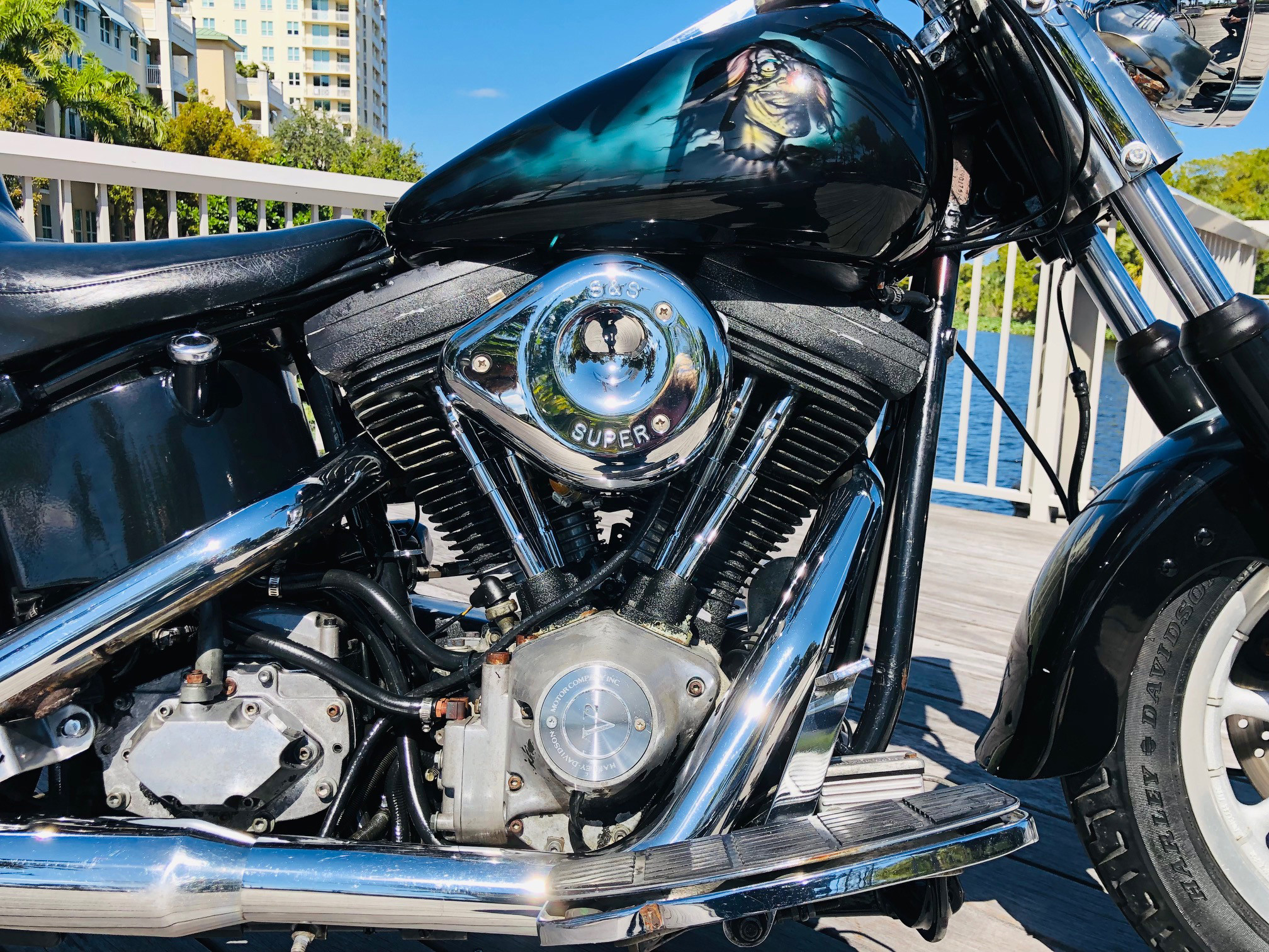 1986 Harley-Davidson® FXST Softail® Standard for Sale in Boynton Beach ...