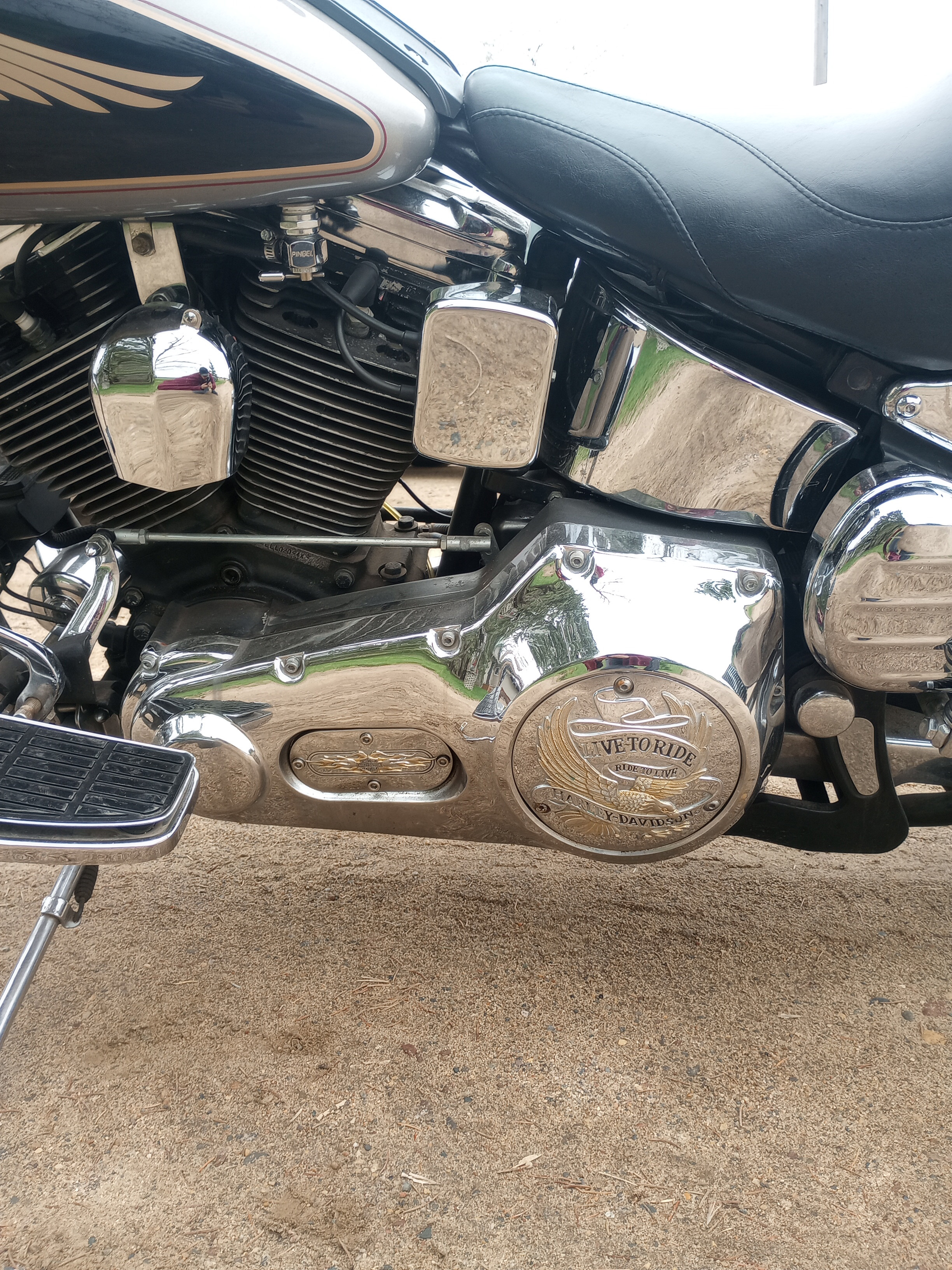 1990 Harley-Davidson® FXSTS Springer® Softail for Sale in South Haven ...
