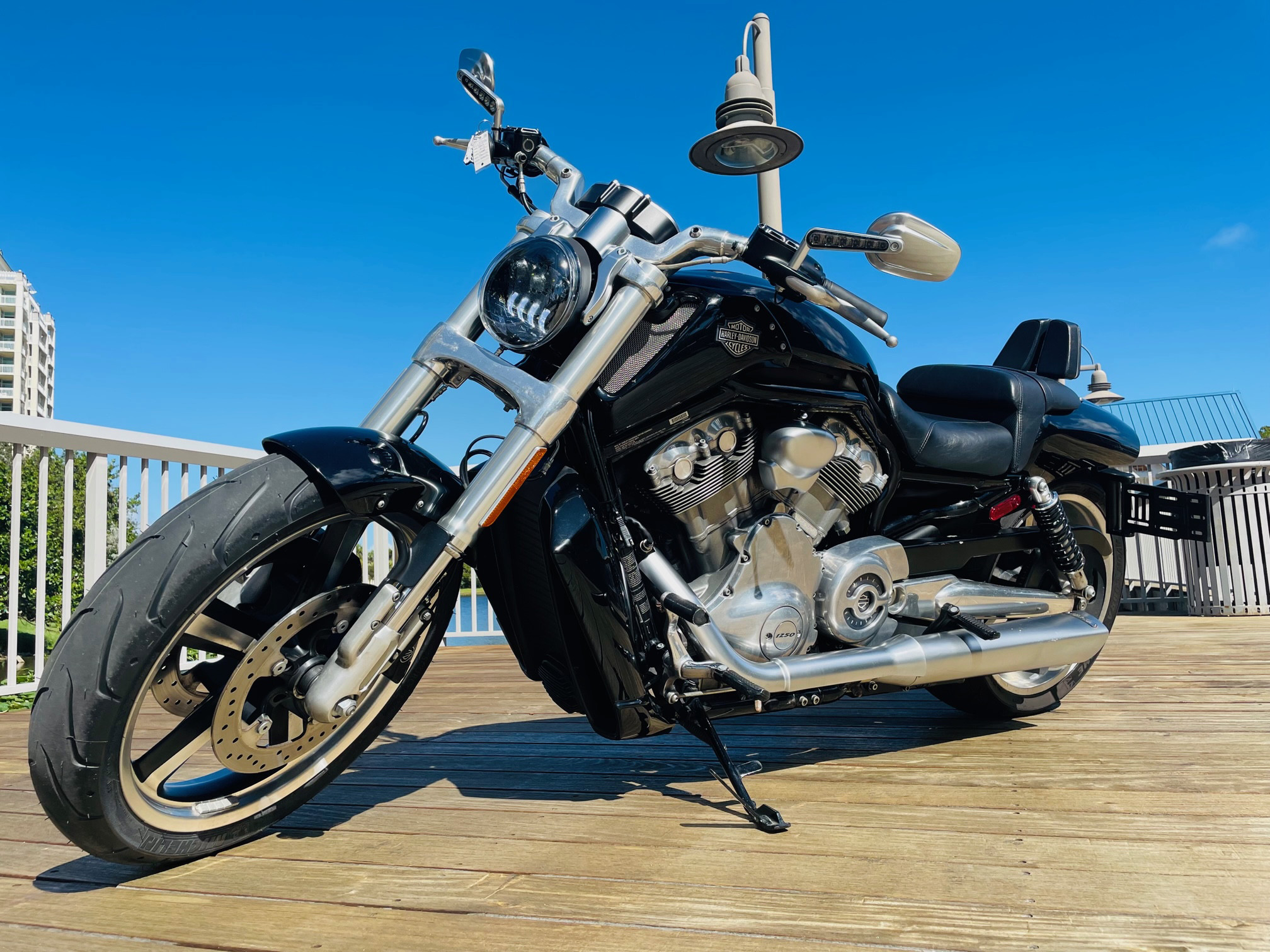 2011 Harley-Davidson® VRSCF V-Rod Muscle® for Sale in Boynton Beach, FL ...