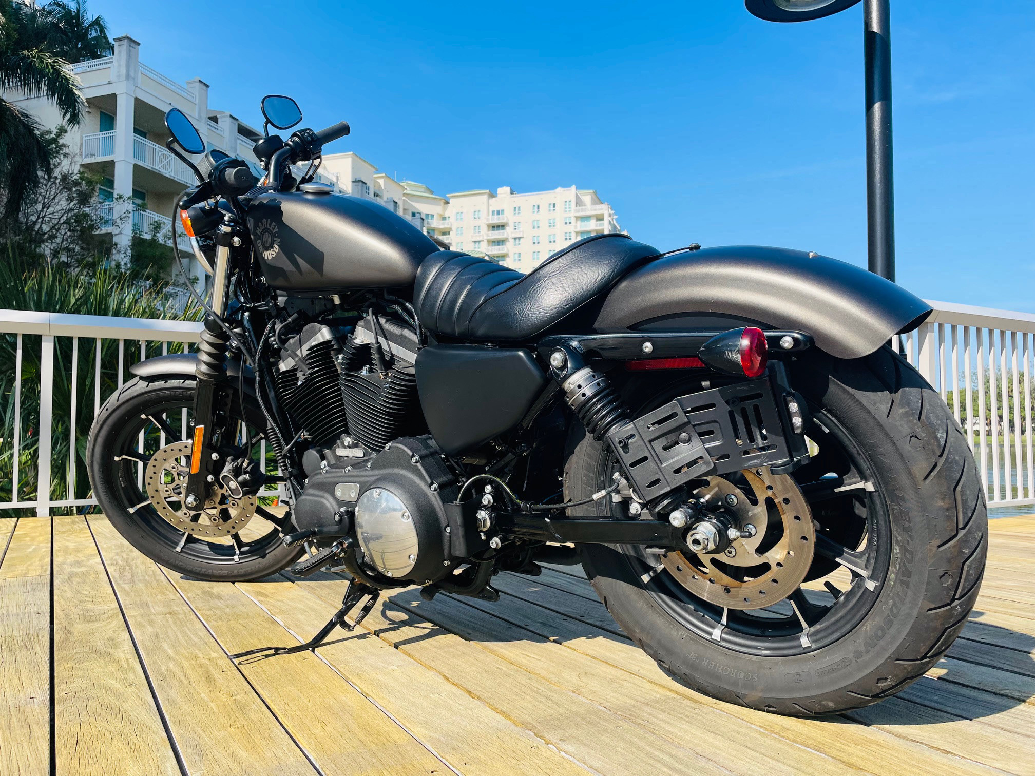 2021 Harley-Davidson® XL883N Iron 883® for Sale in Boynton Beach, FL ...