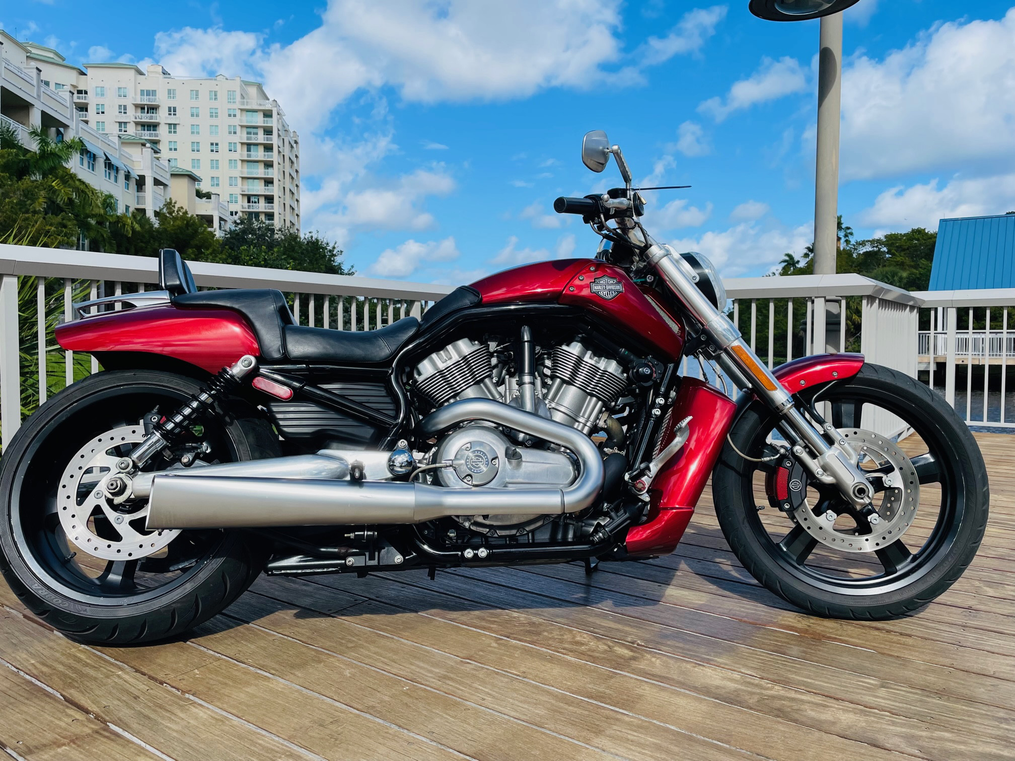 2009 Harley-Davidson® VRSCF V-Rod® Muscle® for Sale in Boynton Beach ...
