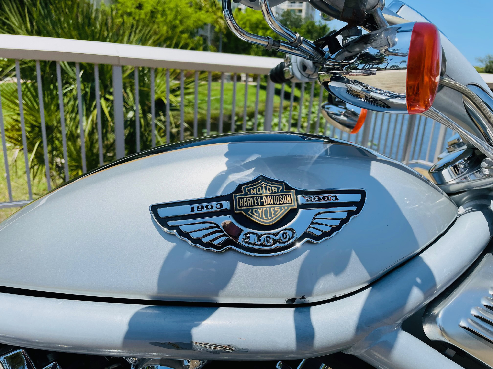 2003 Harley-Davidson® VRSCA-ANV V-Rod® Anniversary for Sale in Boynton ...