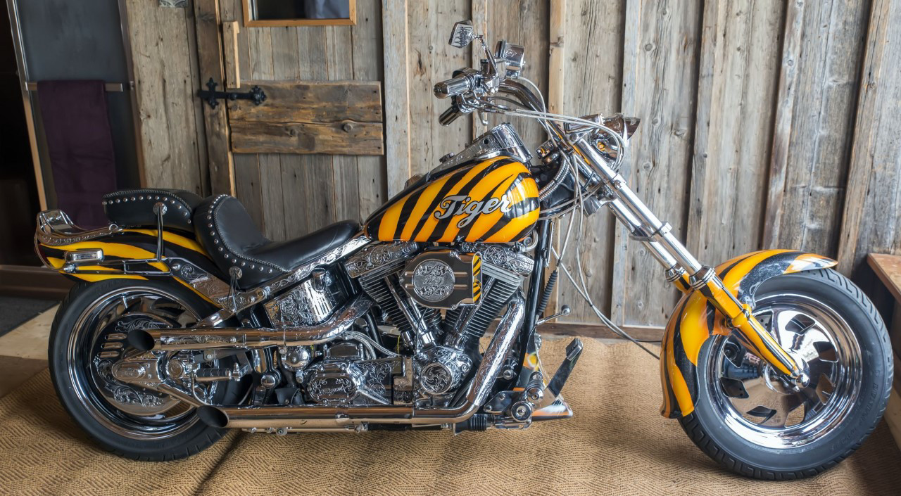 1987 Harley-Davidson® FXSTC Softail® Custom for Sale in Hampton Falls ...