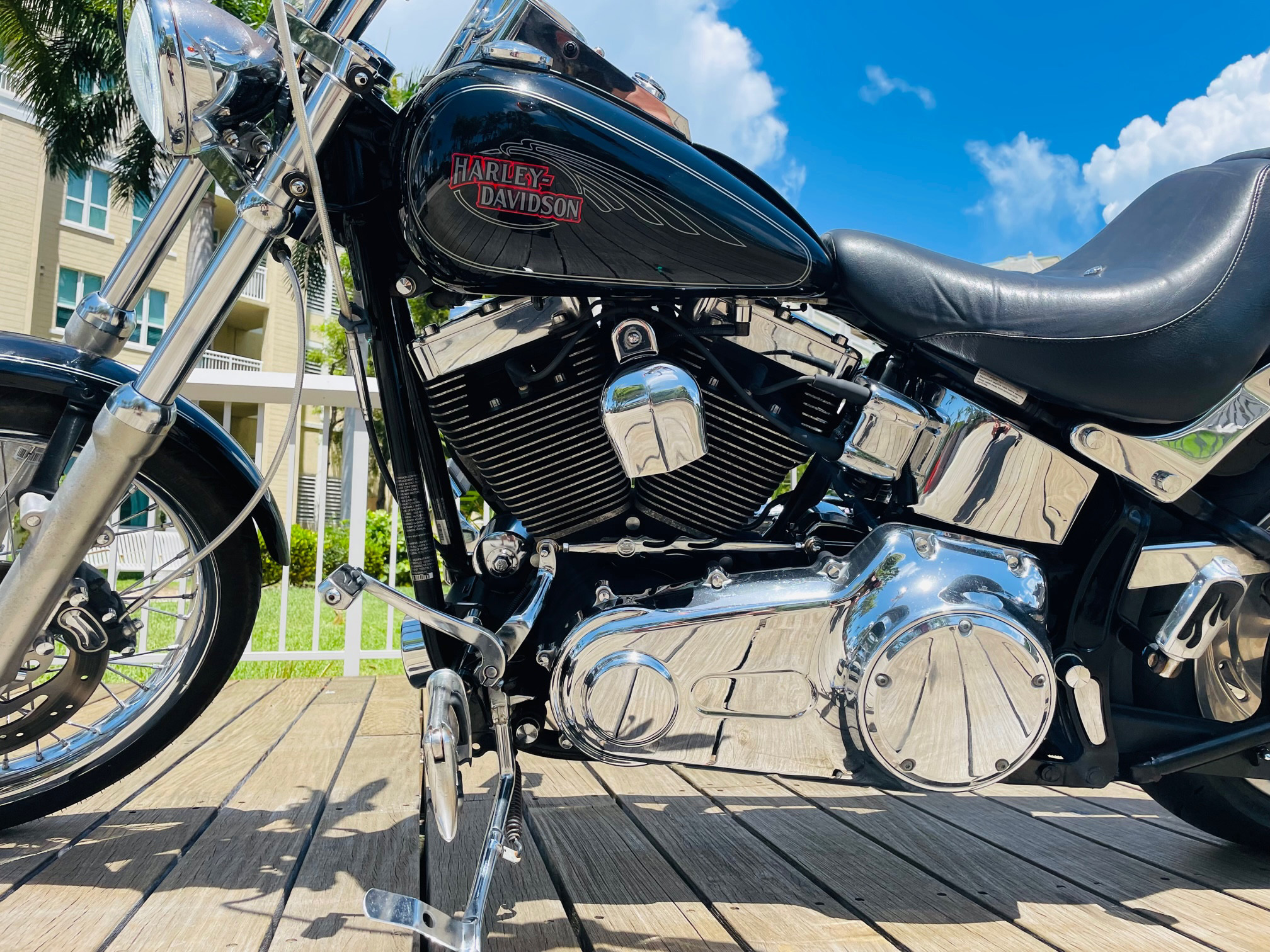 2008 Harley-Davidson® FXSTC Softail® Custom for Sale in Boynton Beach ...