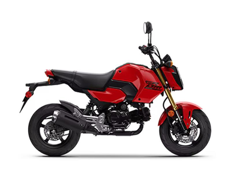 2025 Honda® Grom for Sale in MA (Item 1328875)