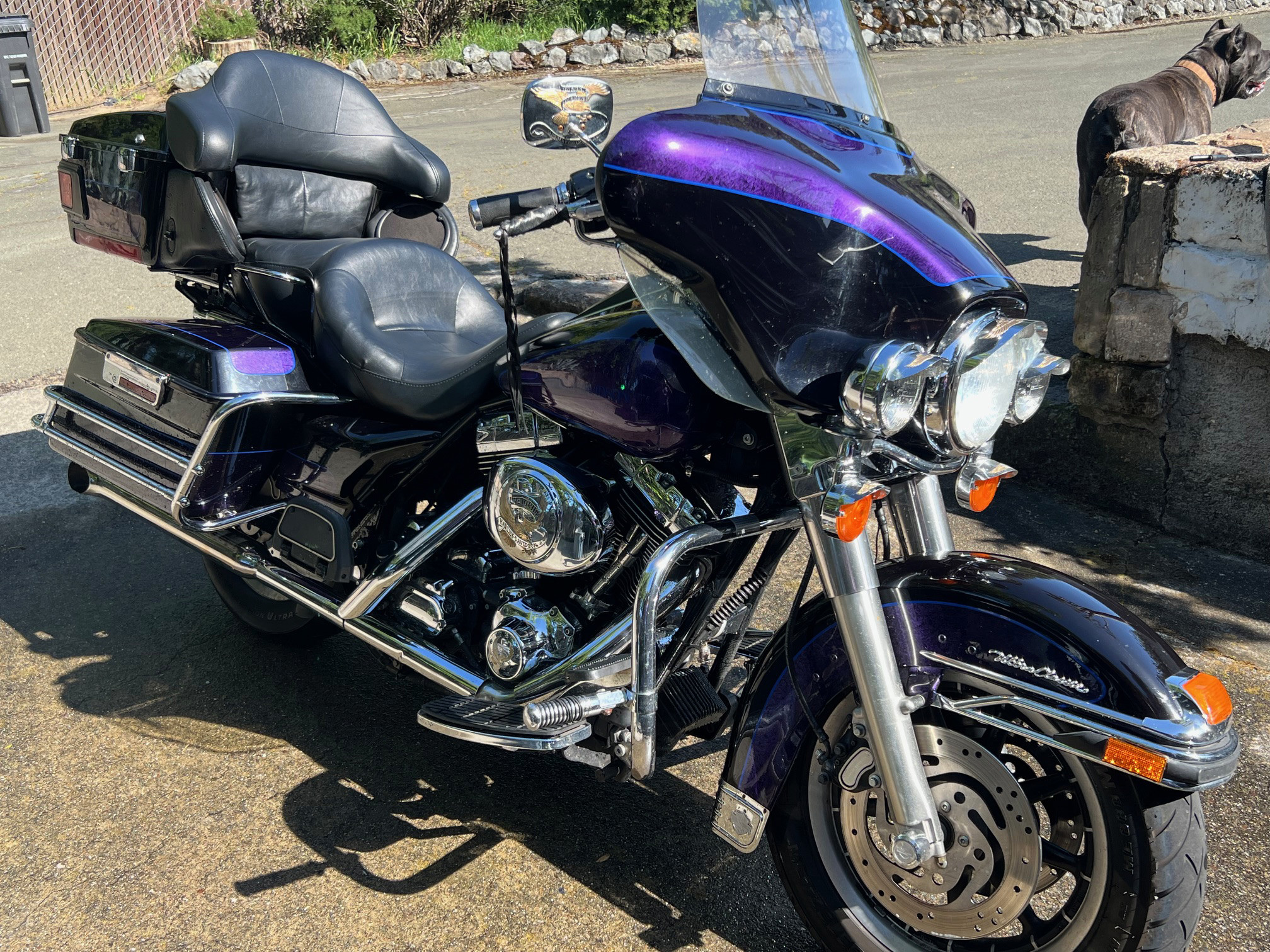 2000 Harley-Davidson® FLHTCU/I Electra Glide® Ultra Classic® for Sale ...