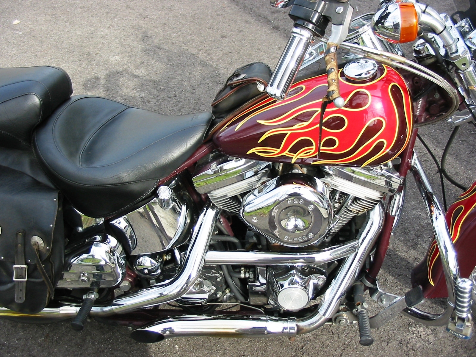 1986 Harley-Davidson® FXSTC Softail® Custom for Sale in Columbus, IN ...