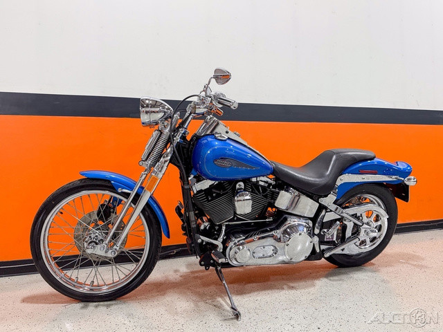 2004 Harley-Davidson® FXSTS/I Springer® Softail® for Sale in ...