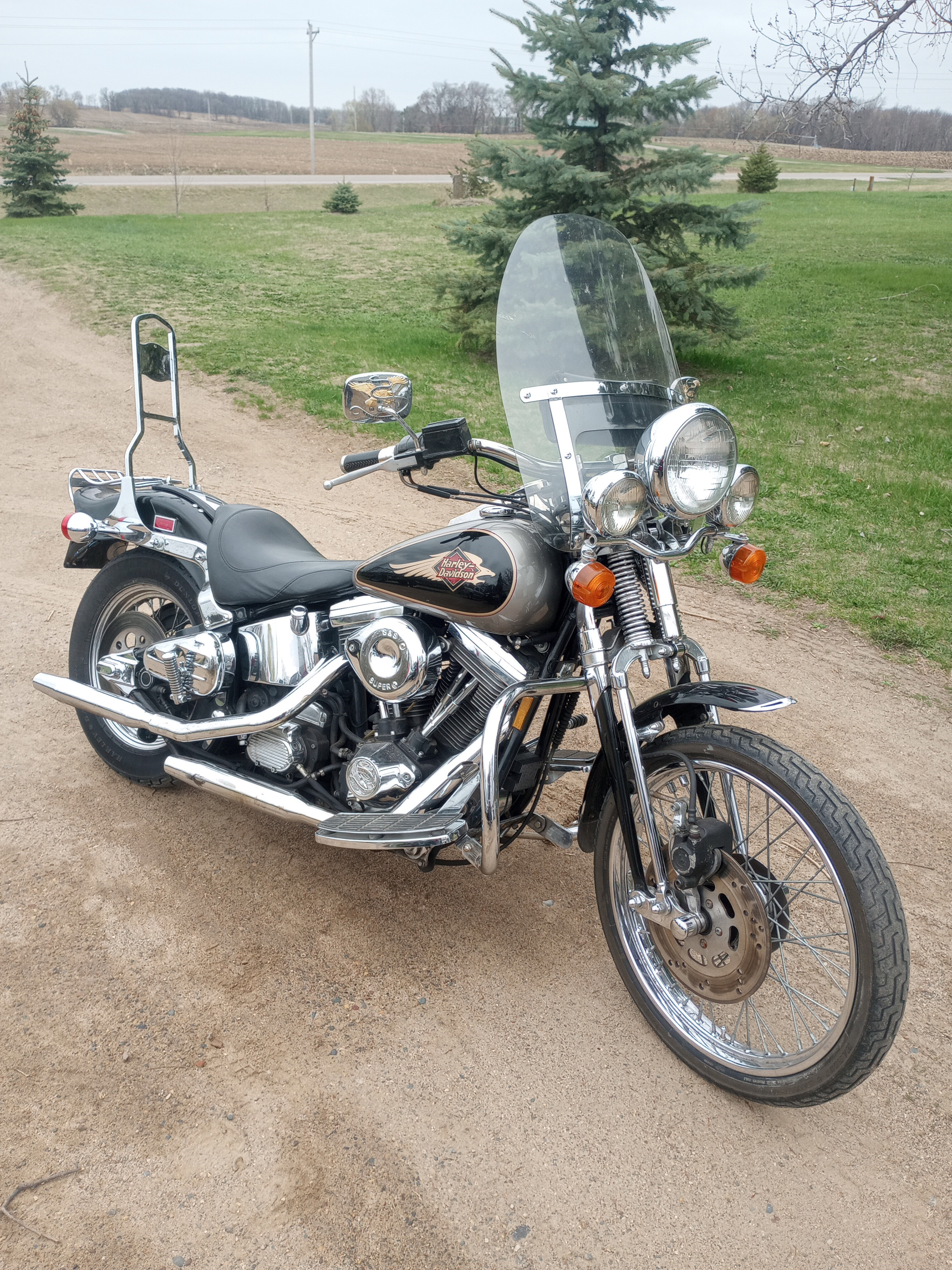 1990 Harley-Davidson® FXSTS Springer® Softail for Sale in South Haven ...