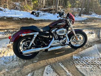 2015 Harley-Davidson® XL1200C Sportster® 1200 Custom for Sale in ...