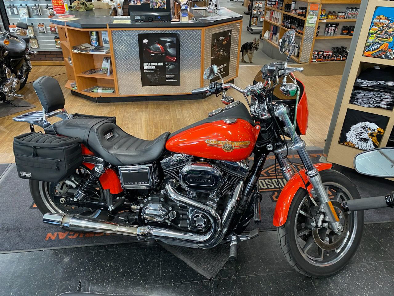 2016 Harley-Davidson® FXDL Dyna® Low Rider® for Sale in Leominster, MA ...