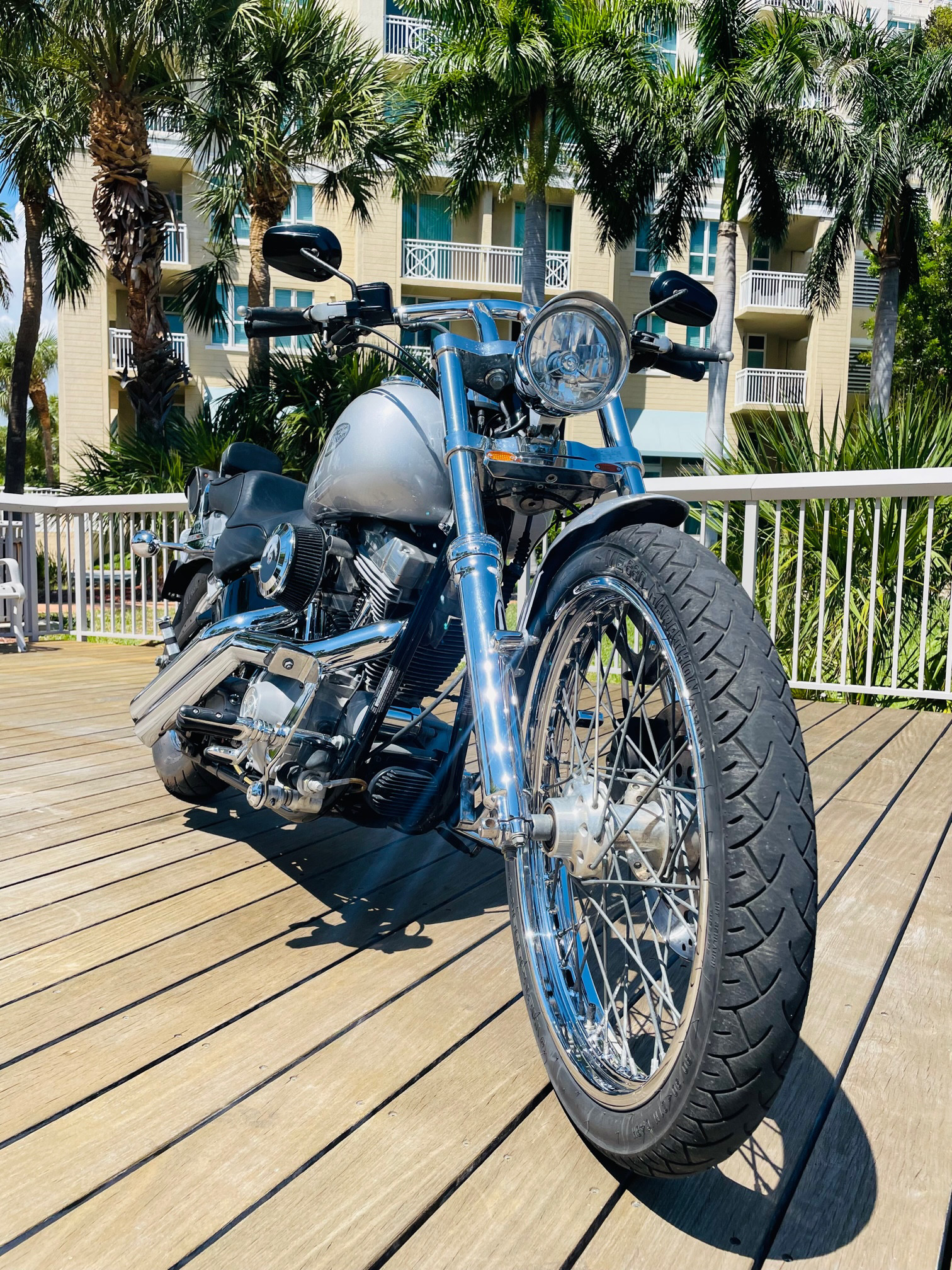 2001 Harley-Davidson® FXSTC Softail® Custom for Sale in Boynton Beach ...