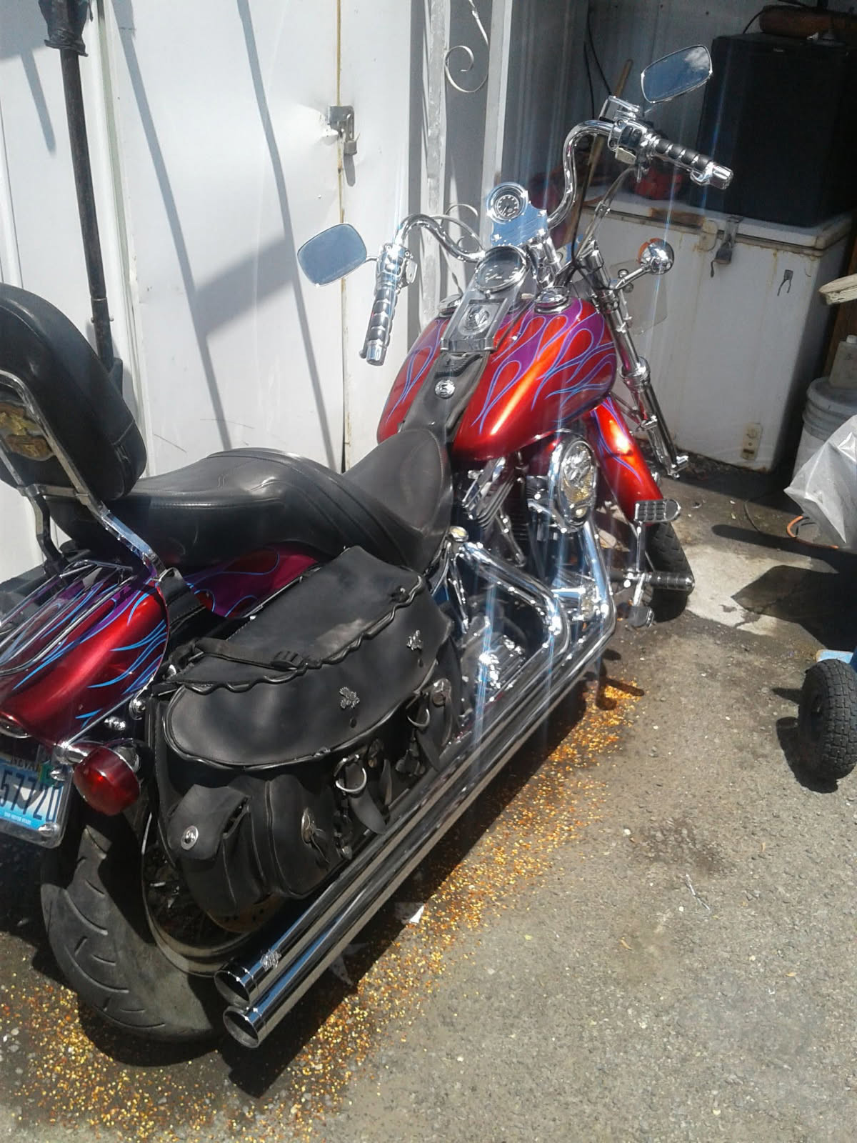1996 Harley-Davidson® FXSTC Softail® Custom for Sale in Reno, NV (Item ...