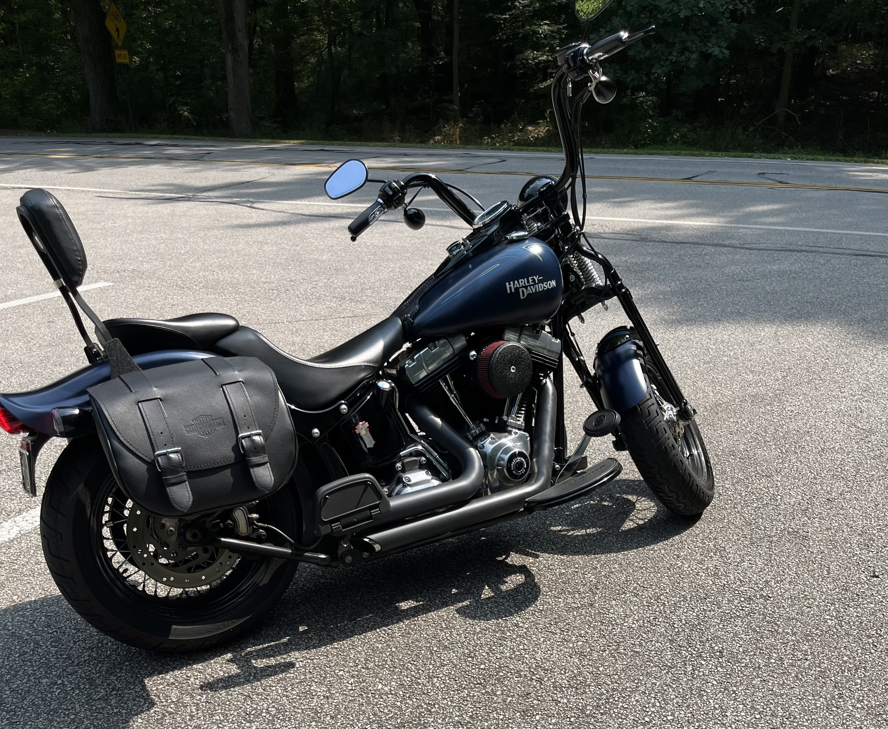 2008 Harley-Davidson® FLSTSB Softail® Cross Bones® for Sale in Berea ...