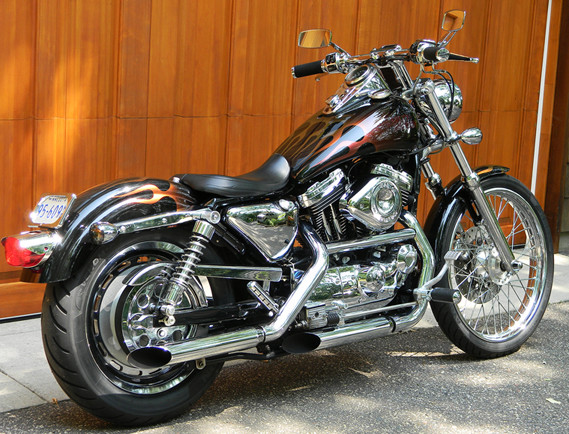 1999 Harley-Davidson® XL1200C Sportster® 1200 Custom for Sale in Mound ...